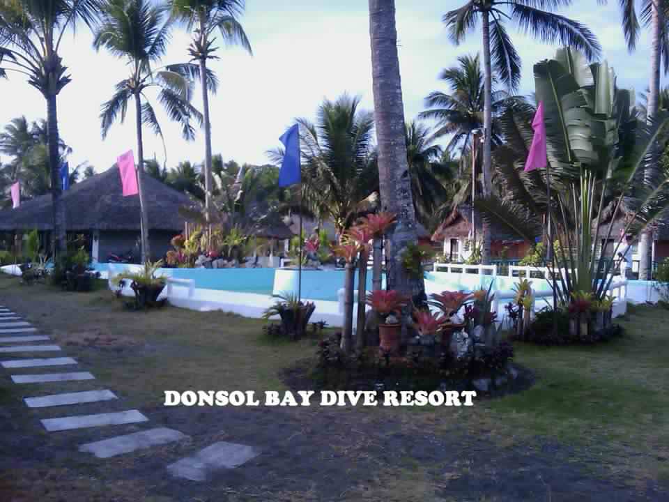Donsol Bay Dive Resort
