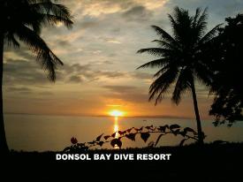 Donsol Bay Dive Resort